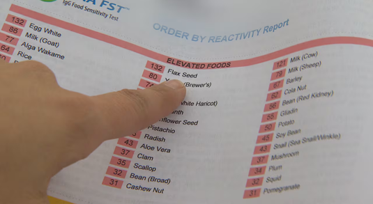 Food IgG Intolerance Testing – Graceful Refinement